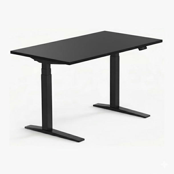 FlexiSpot E7 Pro High-End Standing Desk | Height Adjustable Table | Si ...