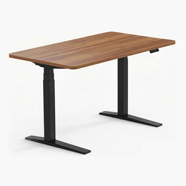 FlexiSpot E7 Pro High-End Standing Desk | Height Adjustable Table | Si ...